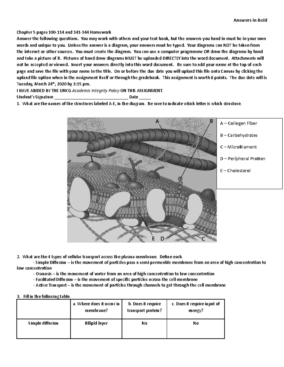 Chapter 5 pages 100 to 114 and 141 to 144 Homework - Chapter 5 pages ...