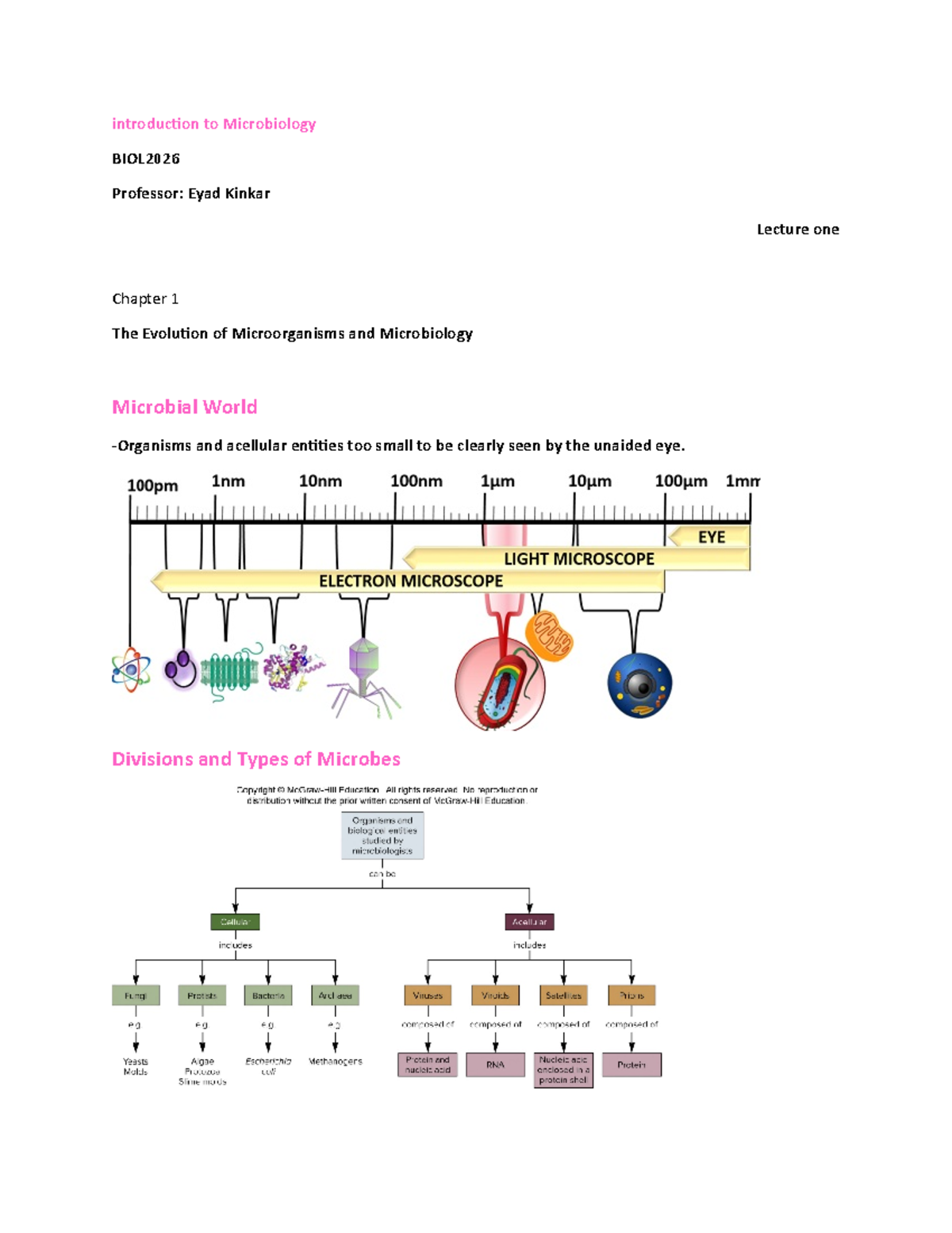 Introduction to Microbiology - introduction to Microbiology BIOL ...