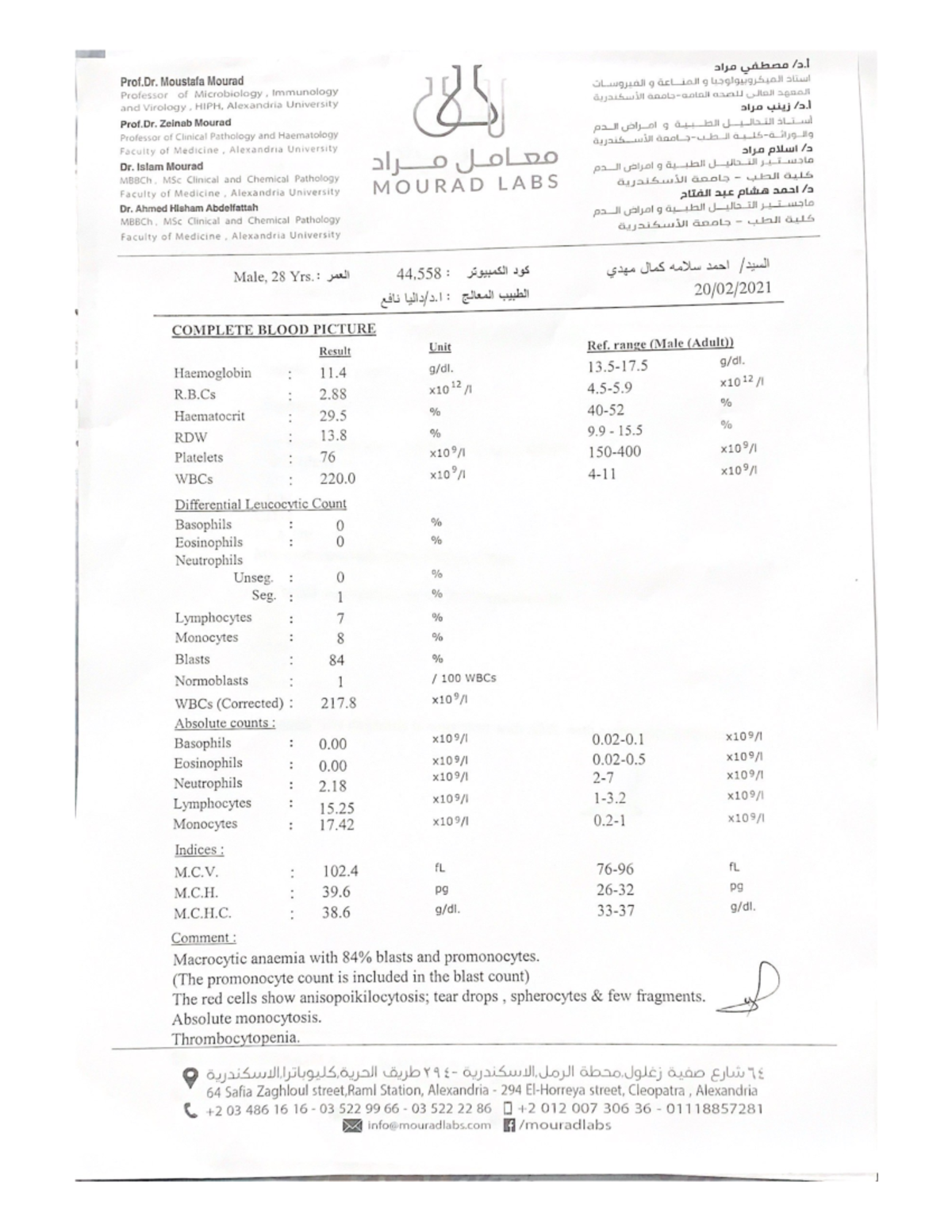 CBC examples - anatomy - Studocu