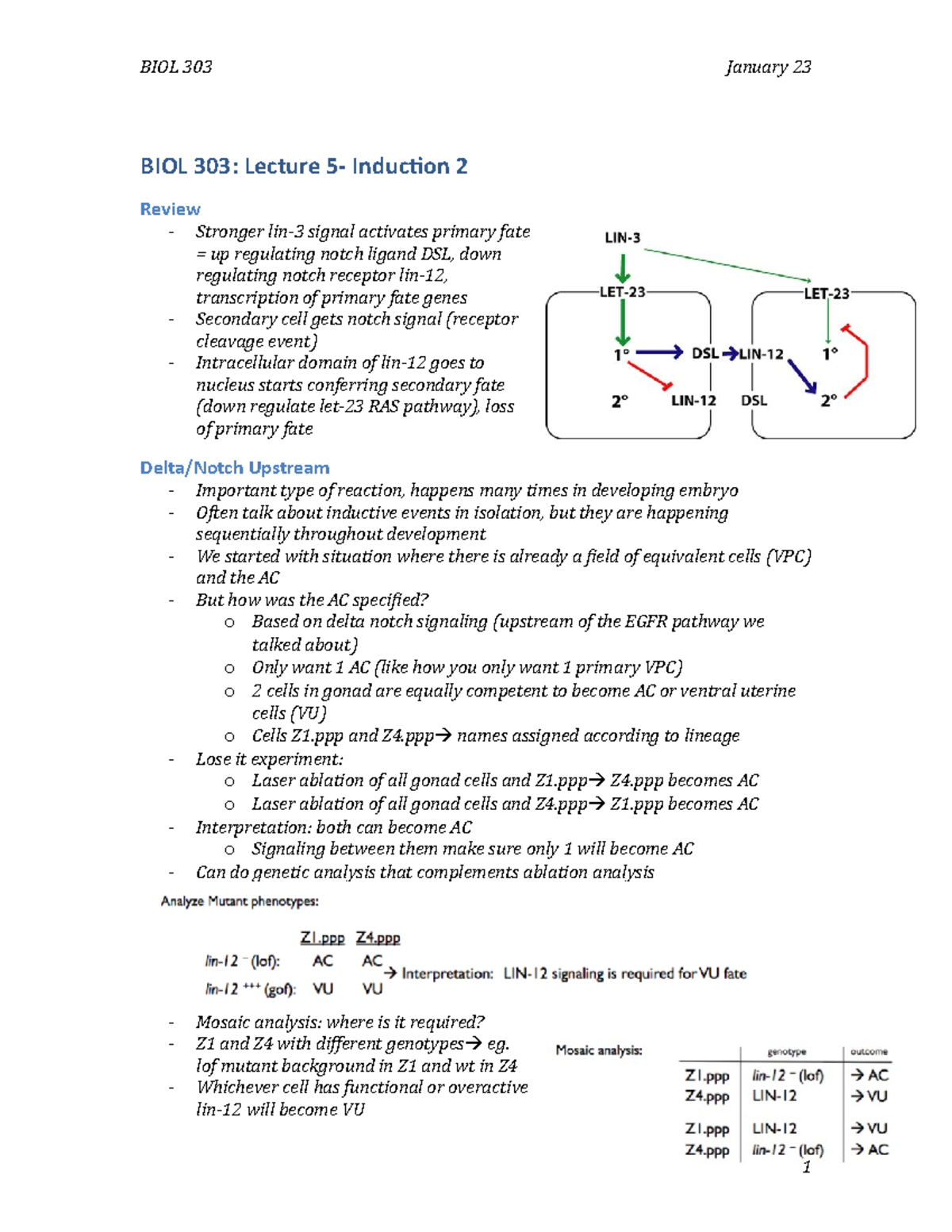 BIOL 303- Lecture 5 - Prof. Hendricks - BIOL 303 January 23 BIOL 303 ...
