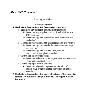Anatomy Physiology Cheat Sheet Exam 2 - Epithelial, connective, nervous ...