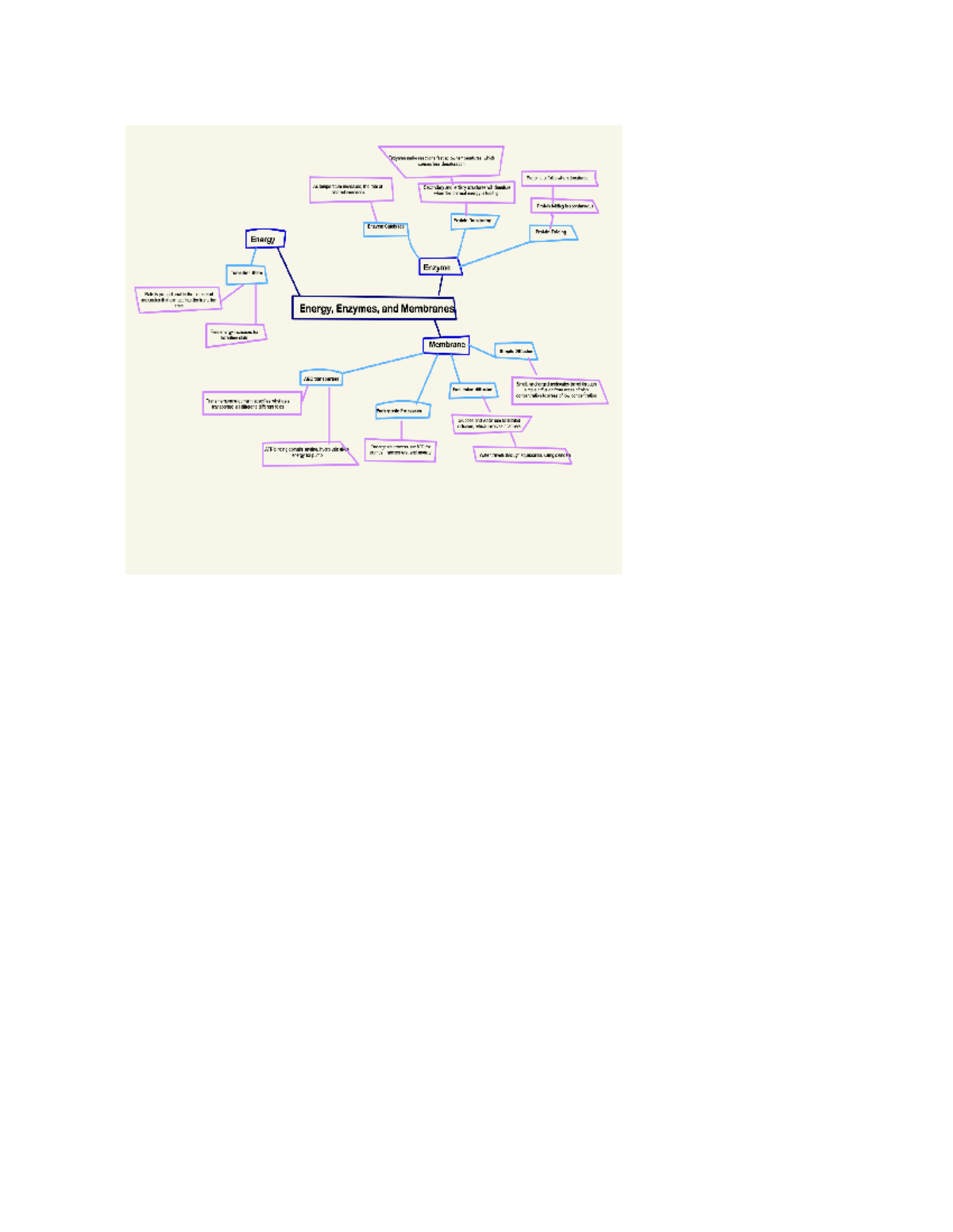 Bio 1002 ASA 2 - notes - Enzymes make reactions fast at low ...