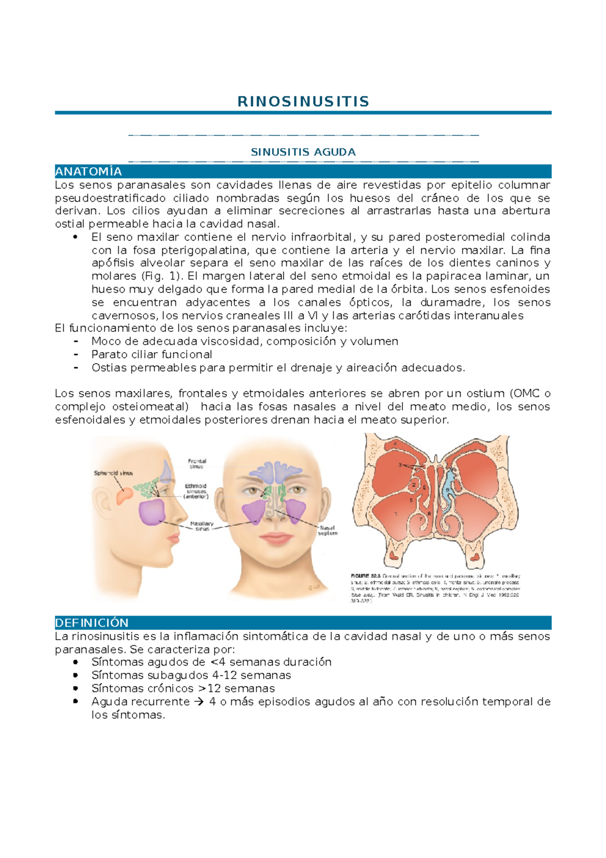 Sinusitis y complicaciones asociadas - RINOSINUSITIS SINUSITIS AGUDA ANATOMÍA Los senos ...