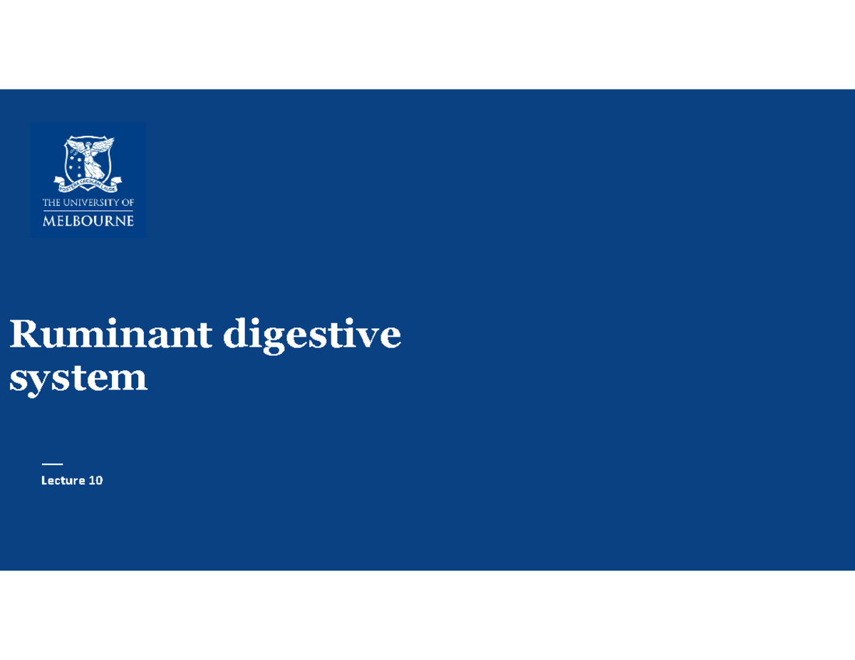 Lecture 10 rumen physiology 2022 - Lecture 10 Ruminant digestive system ...