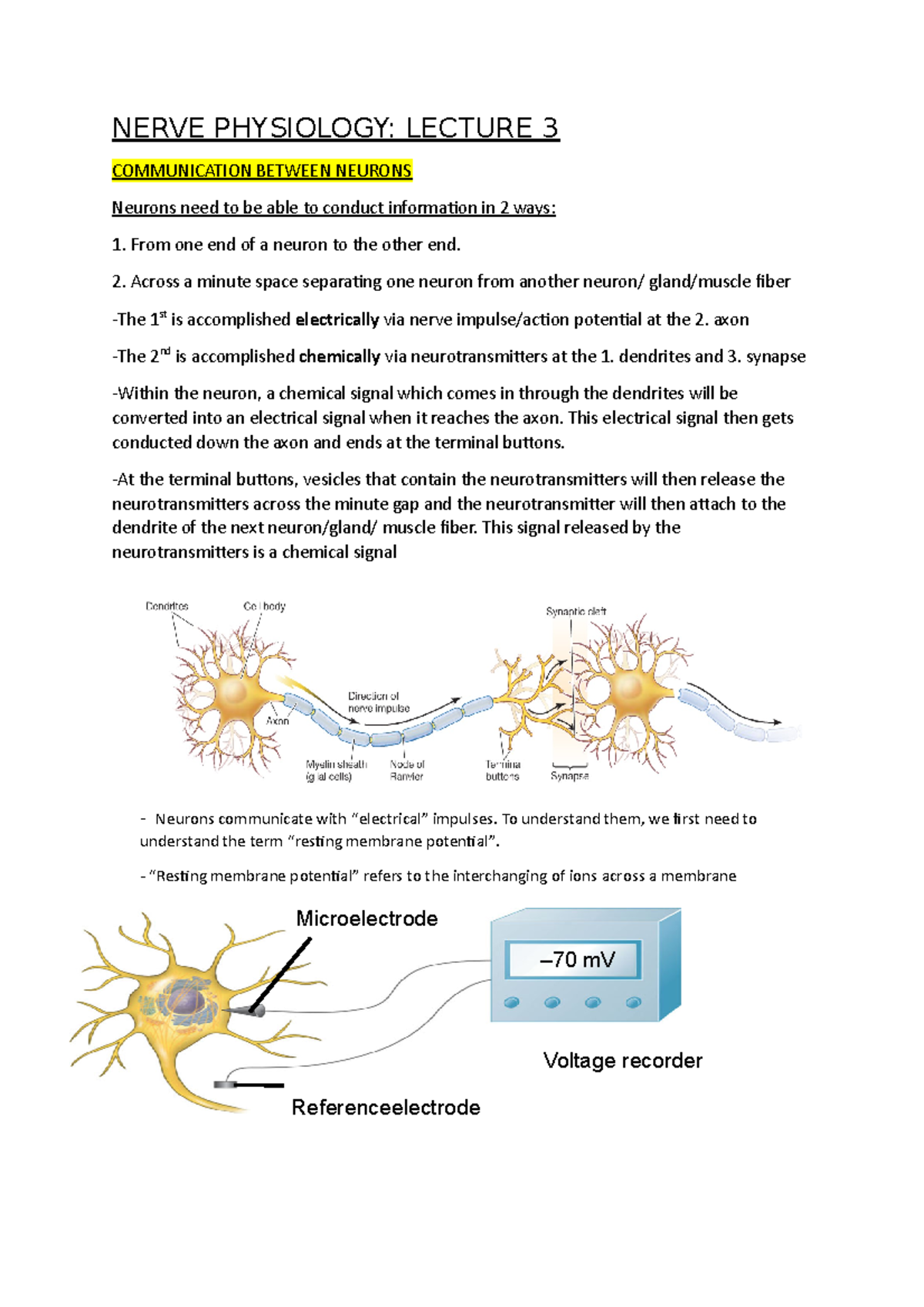 Nerve Physiology PART 3 - NERVE PHYSIOLOGY: LECTURE 3 COMMUNICATION ...