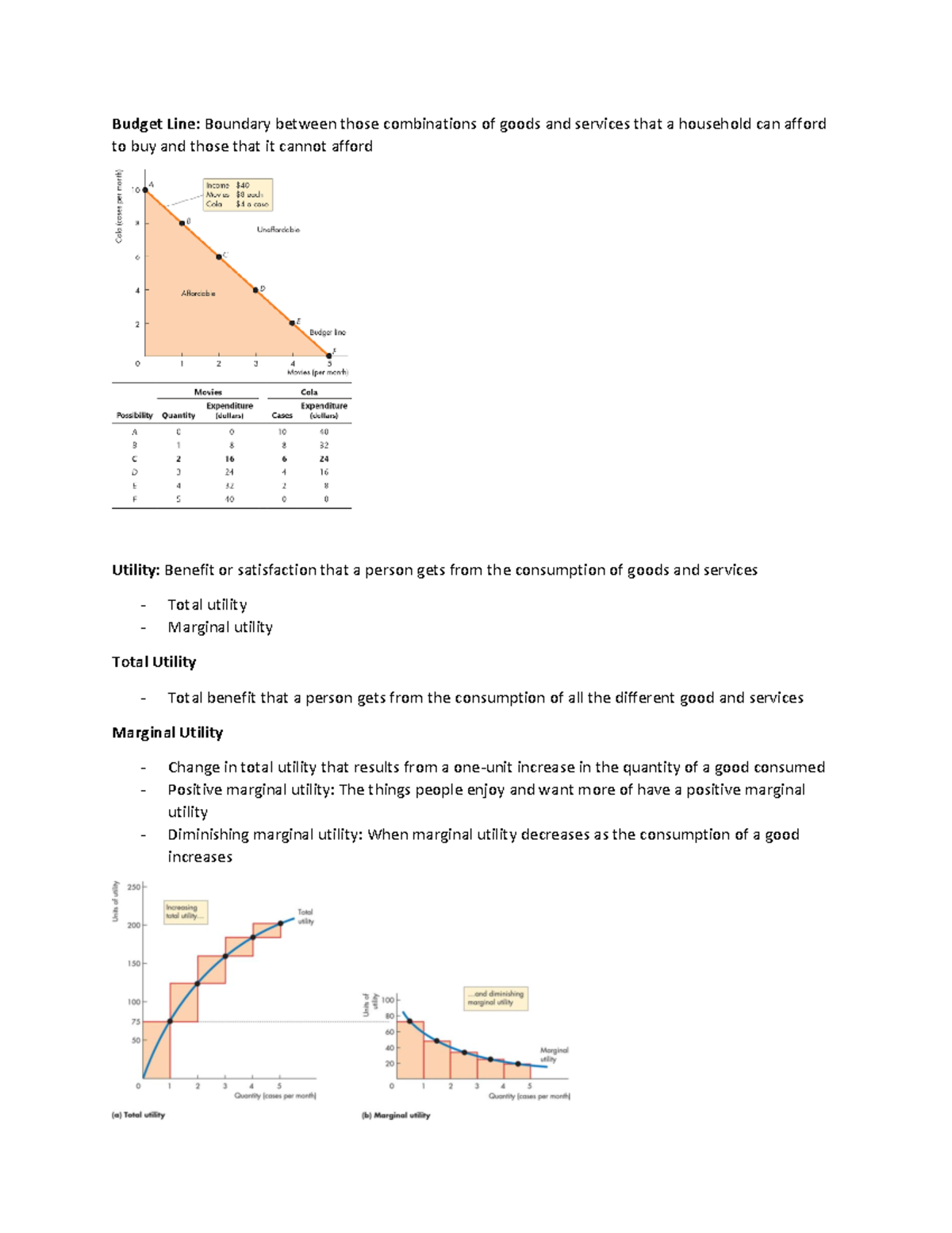Chapter 8 Notes (Econ 1050) - Budget Line: Boundary between those ...