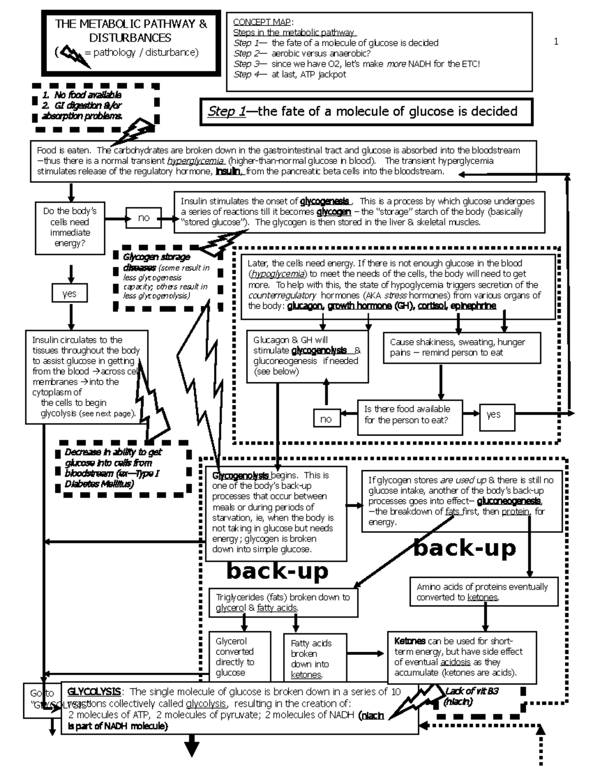 Concept Map The Metabolic Pathway and Disturbances - CONCEPT MAP: Steps ...