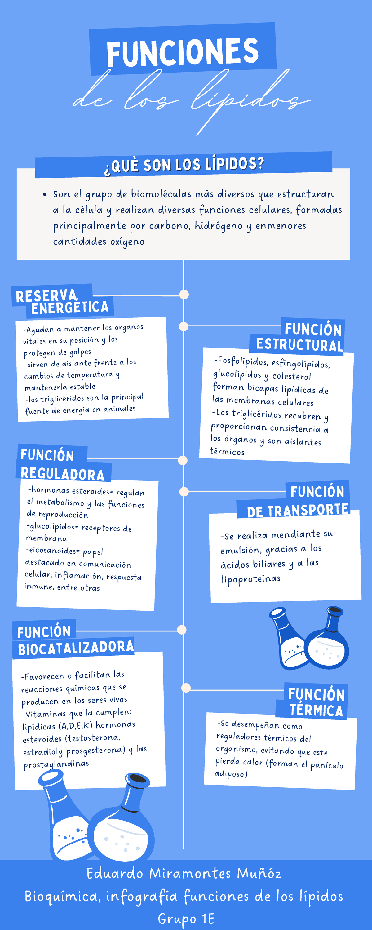 Infografía Funciones de Lípidos -hormonas esteroides= regulan el ...