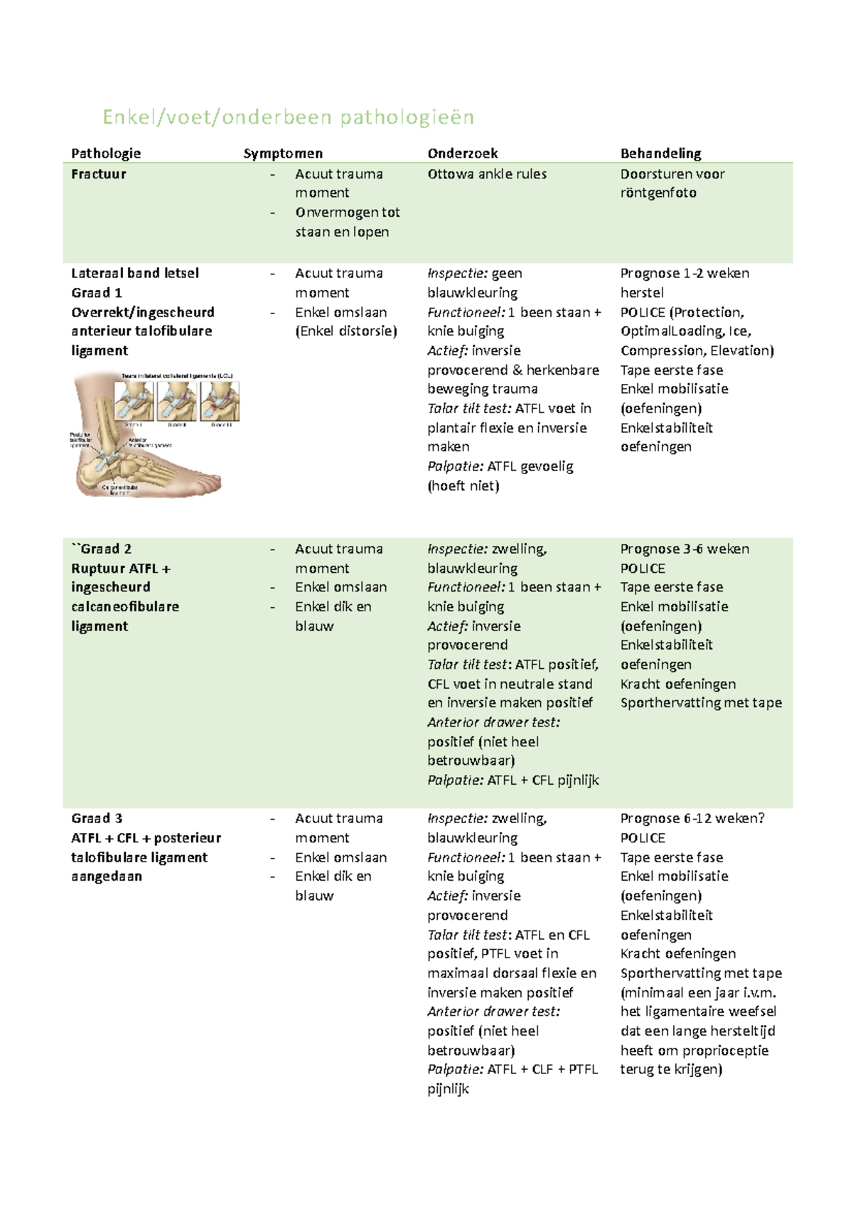 Enkel diagnostiek - Enkel/voet/onderbeen pathologieën Pathologie ...