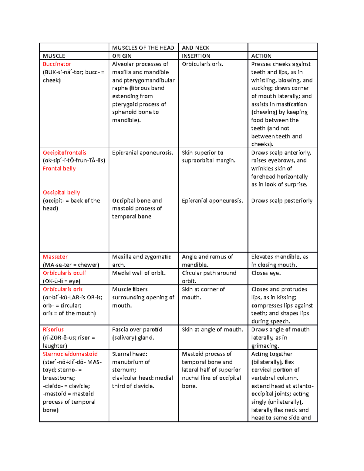 BIOL1410 LAB Muscular Table - BIOL1410 - U of M - Studocu