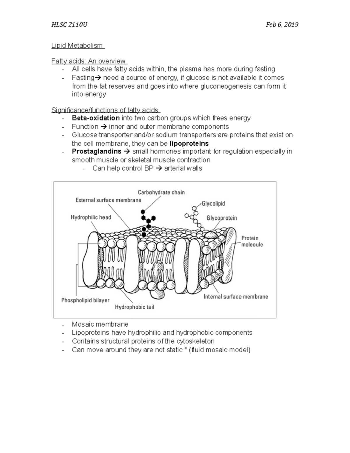 Lipid Metabolism - Lecture notes 9 - HLSC 2110U Feb 6, 2019 Lipid ...
