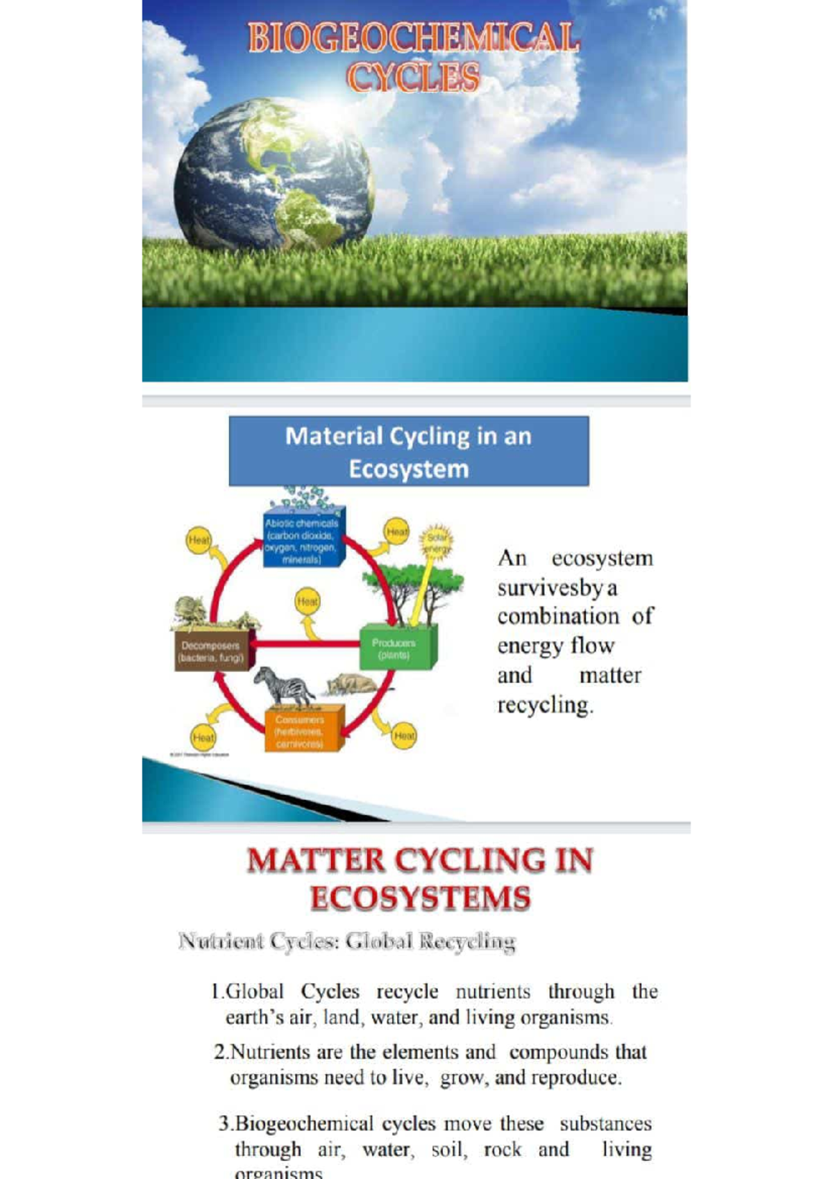 Unit 2 EVS by Himanshu - Summary aec evs - BIOGEOCHEMICAL CYCLES ...
