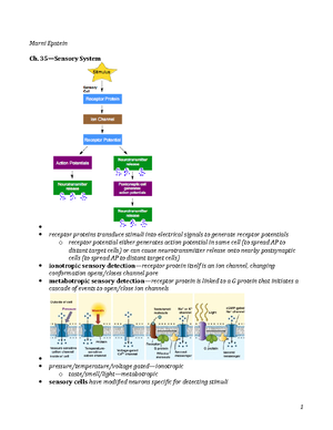 Gen Bio 2 Final Exam note - FINAL Chapter 32 Control by the Endocrine ...