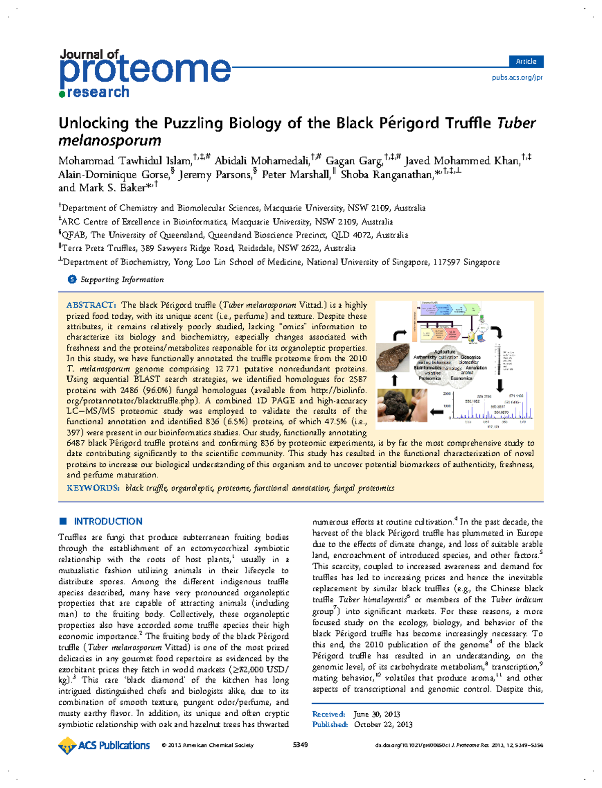 Unlocking the Puzzling Biology of the Black Périgord Truffle Tuber ...