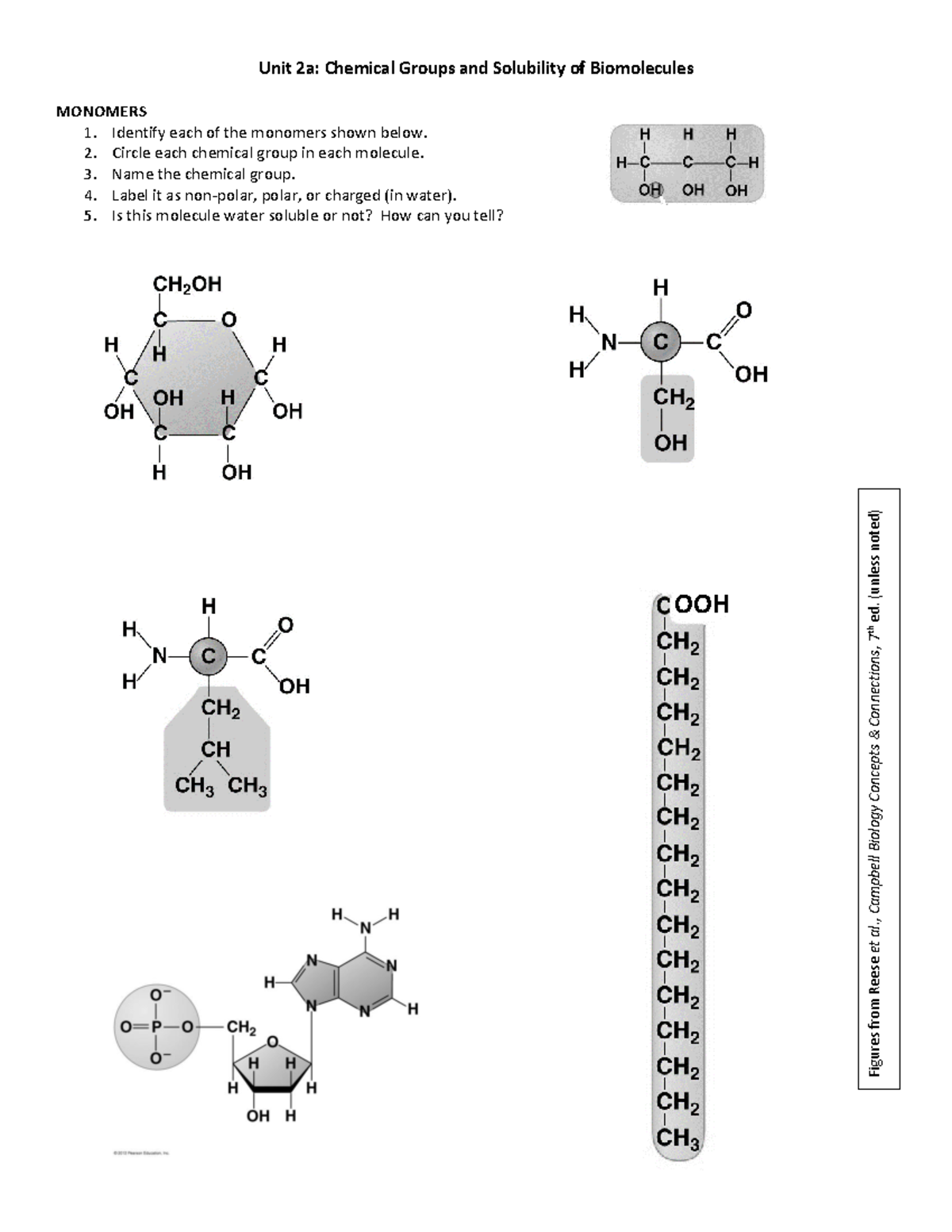 Chemical grps and solubiltiy of biomolecules PDF ph - Unit 2a: Chemical ...