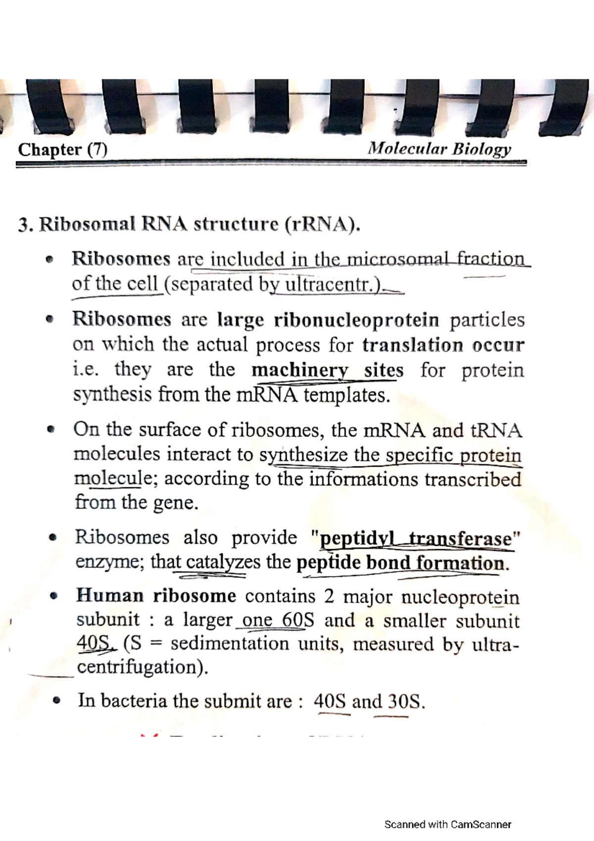 Bio mutation and r RNA - Biochemistry mcq - Studocu