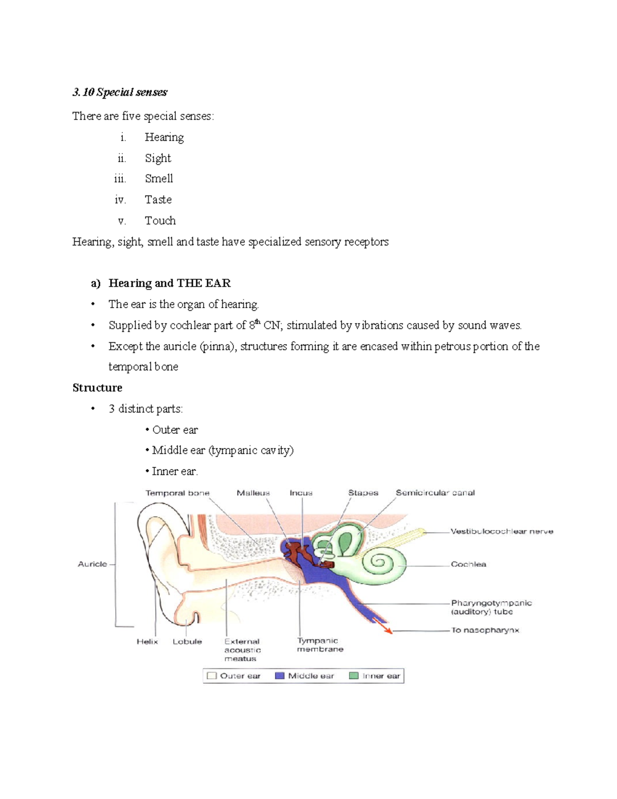 Special senses notes on human anatomy and physiology for cha students ...