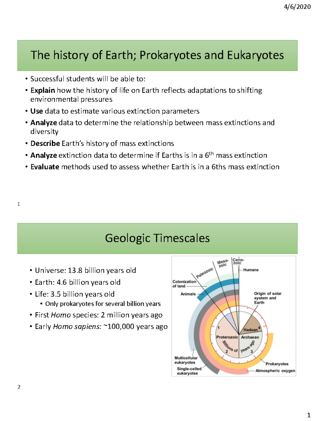 16. The history of Earth and Conservation - The history of Earth ...