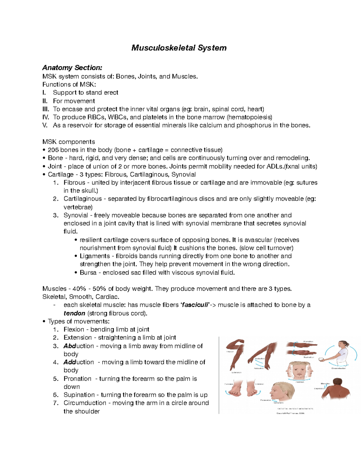 Ch. 23 MSK outline - musculoskeletal lecture notes for health ...