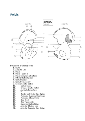 Flag test 3 - Summary Anatomy Of Upper Limb, Head & Neurosciences ...
