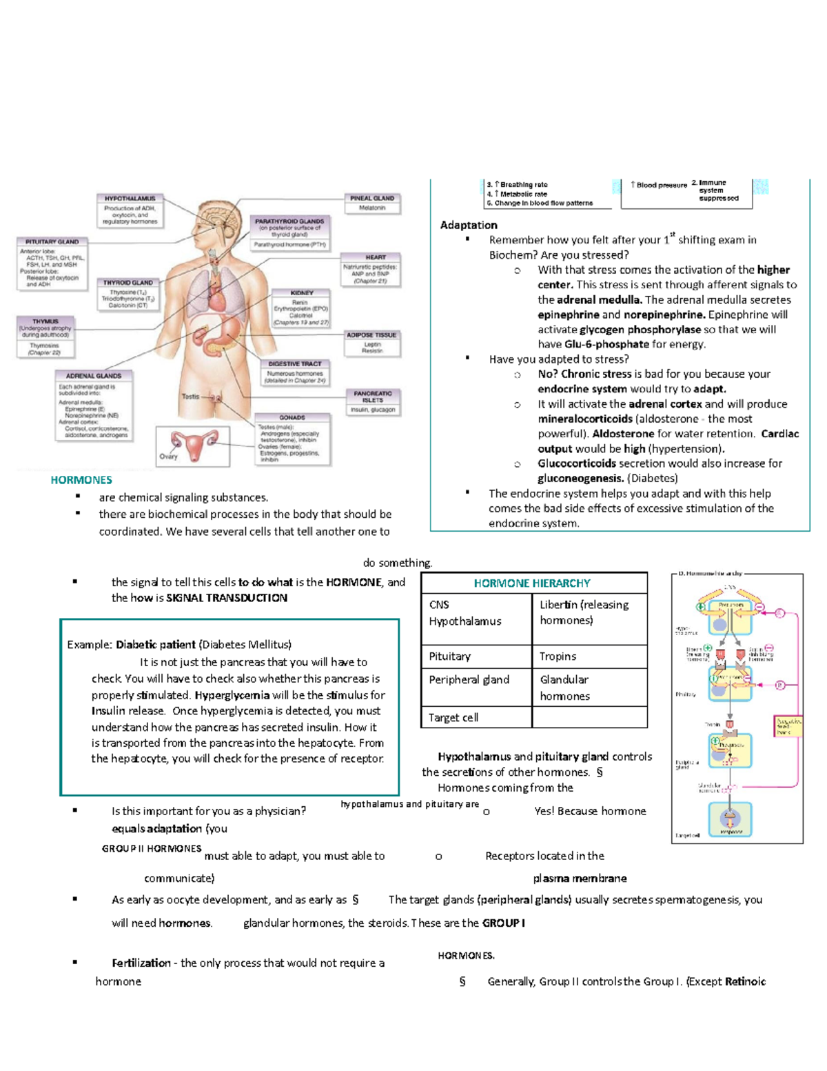 Biochemistry Hormones Lecture Notes Med School Lecture Notes Med