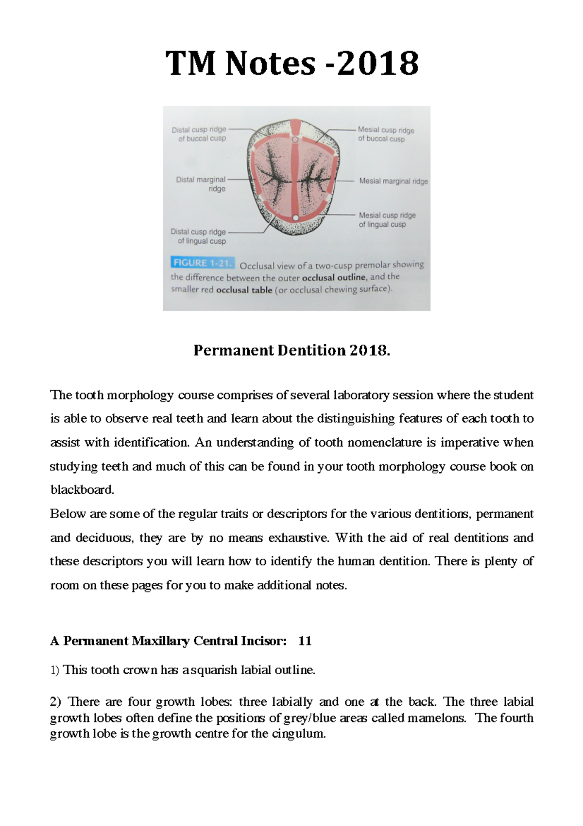 2018 Tooth Morph class notes for DENT 262 - TM Notes - 2018 Permanent ...
