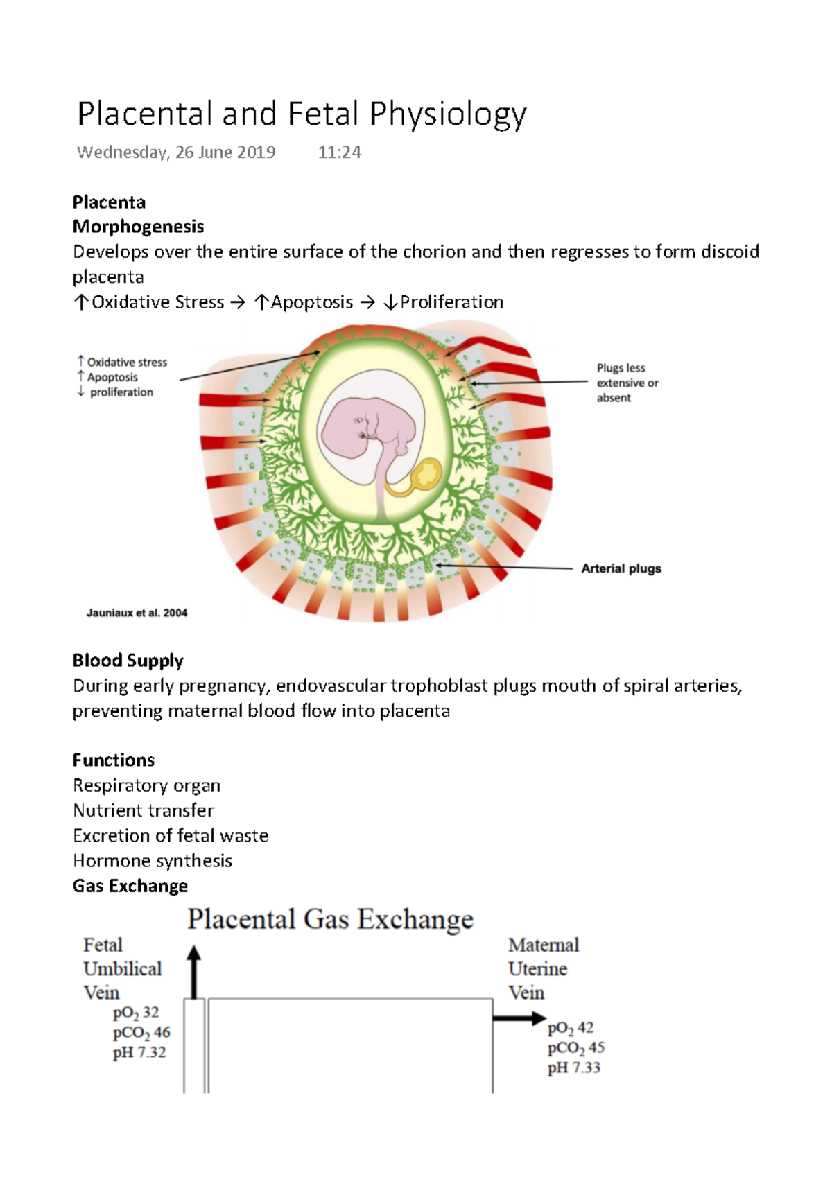 Placental and Fetal Physiology - Placenta Morphogenesis Develops over ...