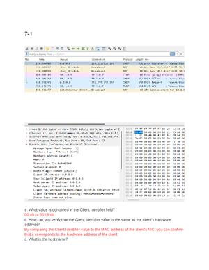 M08 - Capstone 4 - CAPSTONE 4 Capstone Lab 4: Create a Wireshark Display Filter to View IPv6 ...