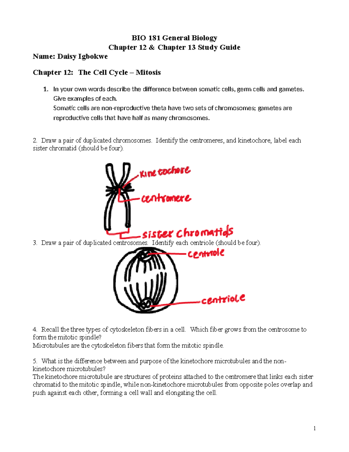 Chapt 12 and 13 Study Guide - BIO 181 General Biology Chapter 12 ...