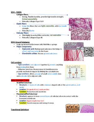 Skin Tissues - notes, images, acronyms on skin integument - zu ...