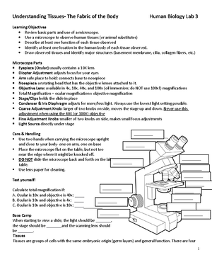Biology 1200-Exam 3 Study Guide - BIOL 1200 Study Guide Exam 3 (1 ...