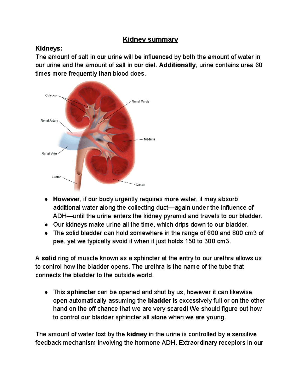 Kidney summary - Kidney summary Kidneys: The amount of salt in our ...