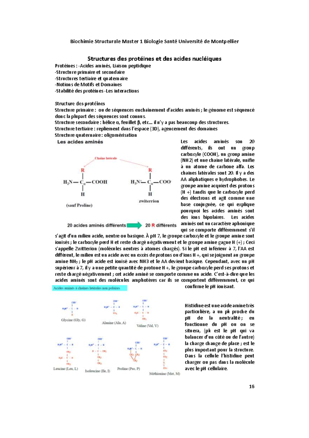 Structure des protéines et acides nucléiques - Biochimie Structurale ...