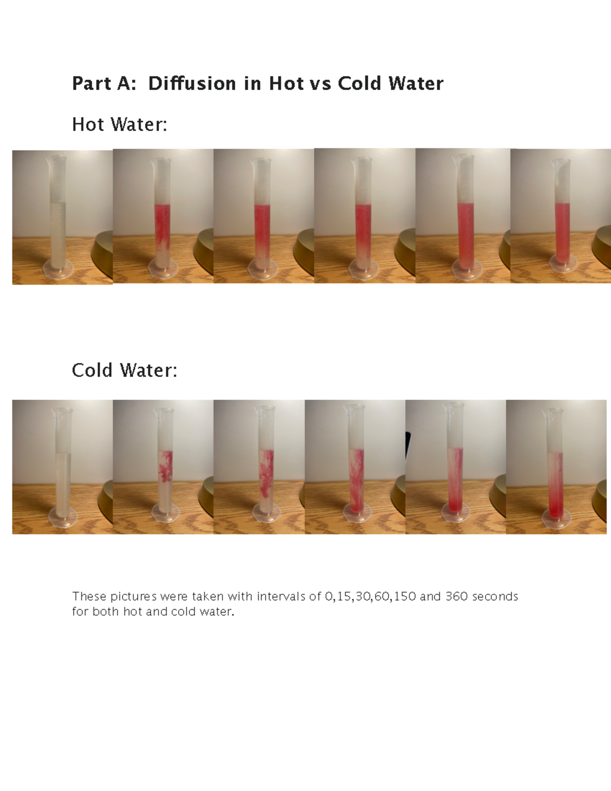 Phys1080Lab5 - ssssssss - Part A: Diffusion in Hot vs Cold Water Hot ...
