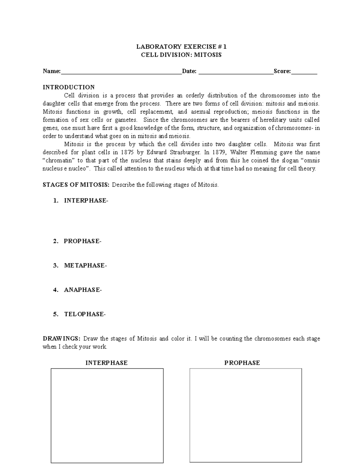 LAB- Exercise- Mitosis - LABORATORY EXERCISE # 1 CELL DIVISION: MITOSIS ...