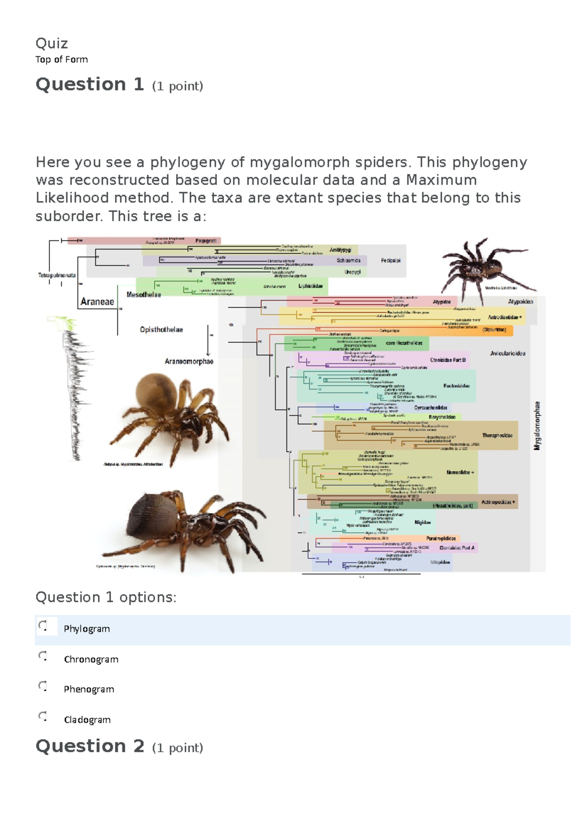 Summary Systematics and Biodiversity v2 - Quiz Top of Form Question 1 ...