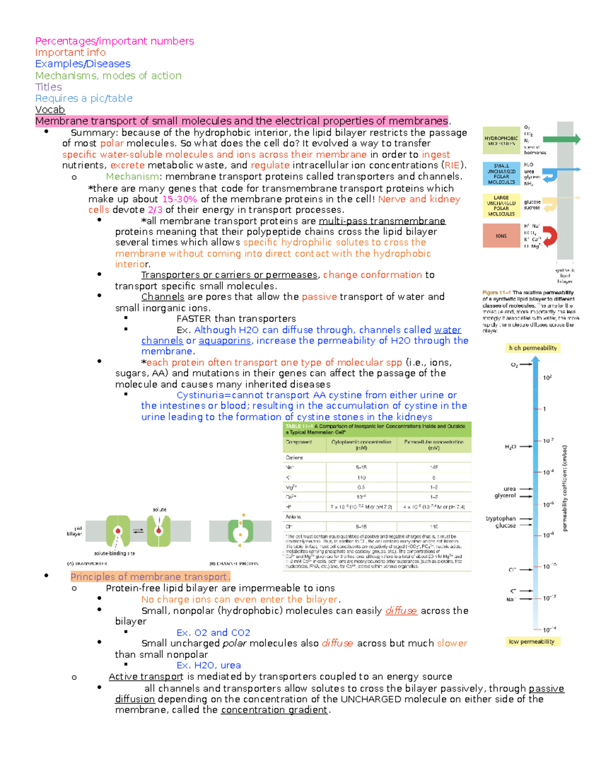 Chapter 11 membrane transport - Percentages/important numbers Important ...