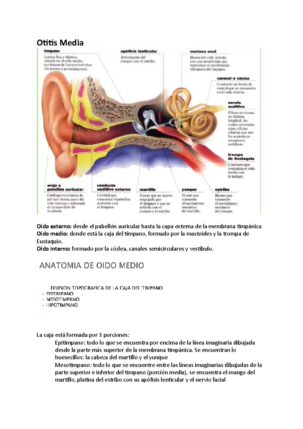 Otitis Media - Otitis Media Oído externo: desde el pabellón auricular ...