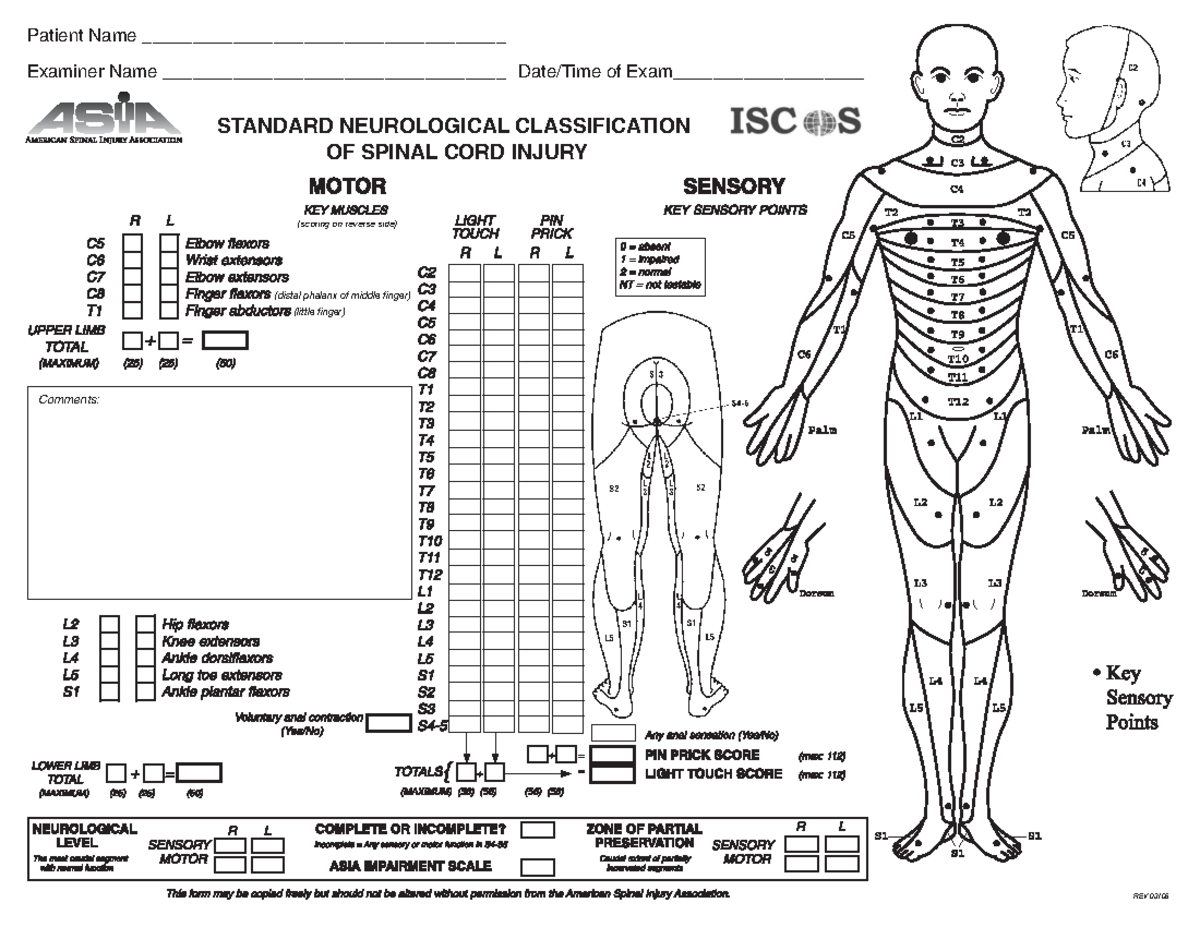 Asia Chart - Comments: (scoring on reverse side) STANDARD NEUROLOGICAL ...