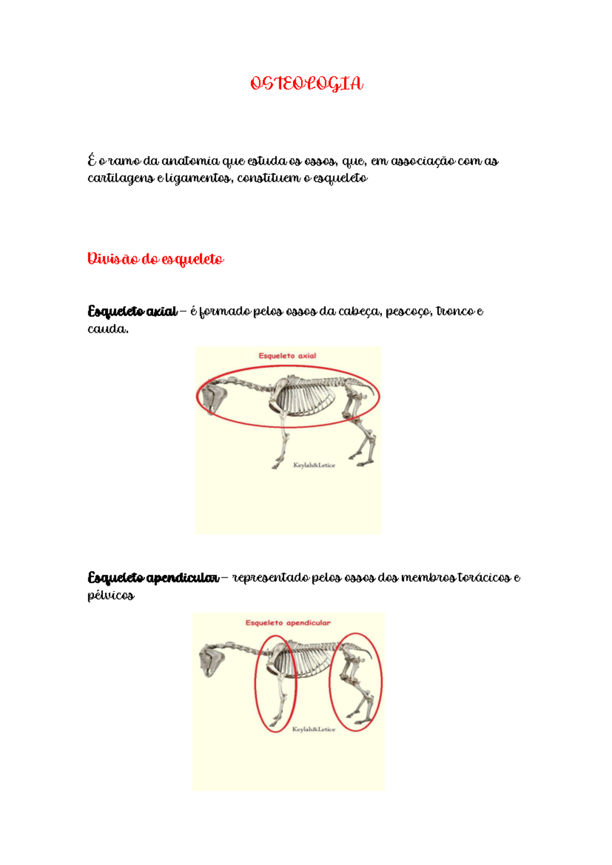 Osteologia - Resumo Anatomia - OSTEOLOGIA É o ramo da anatomia que ...