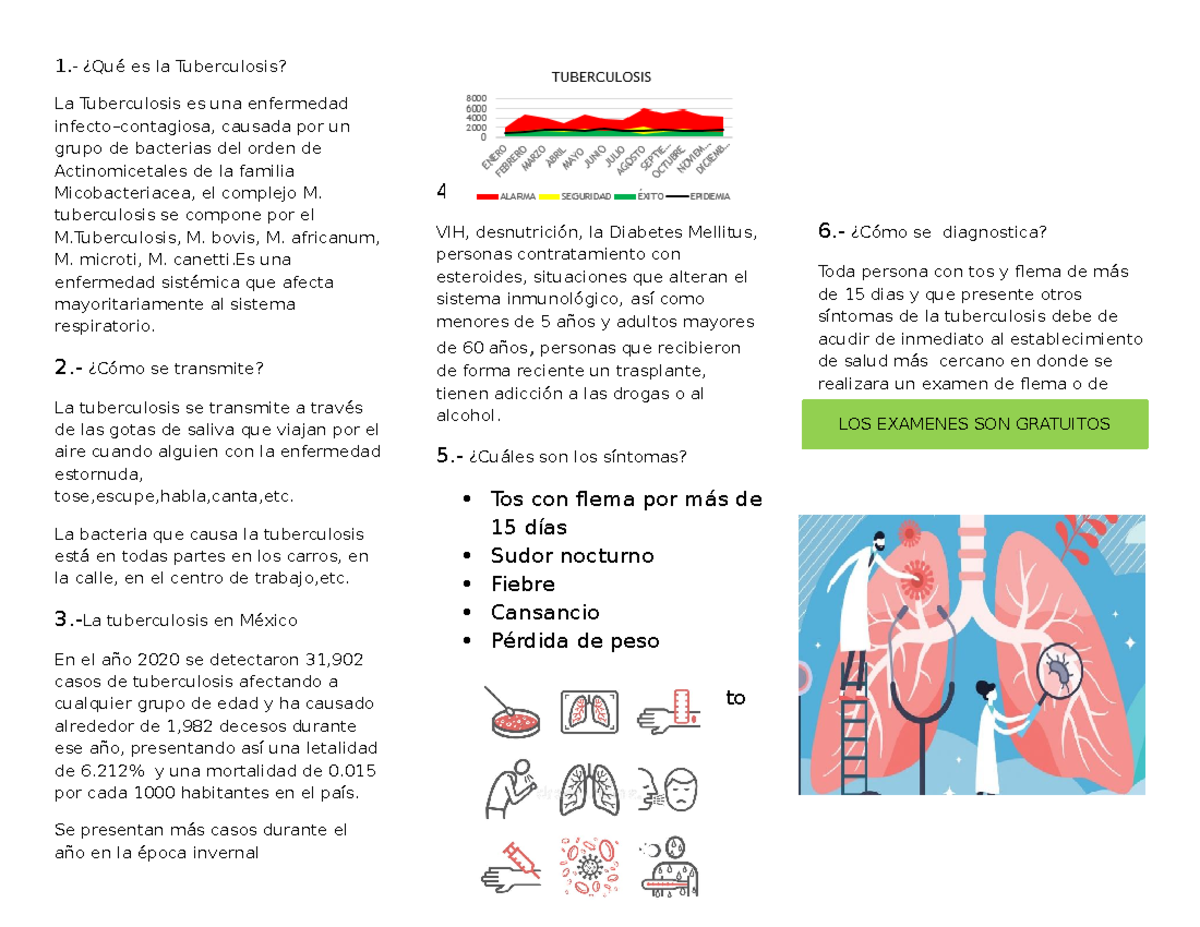 Triptico 6 - Nada - 1.- ¿Qué es la Tuberculosis? La Tuberculosis es una ...