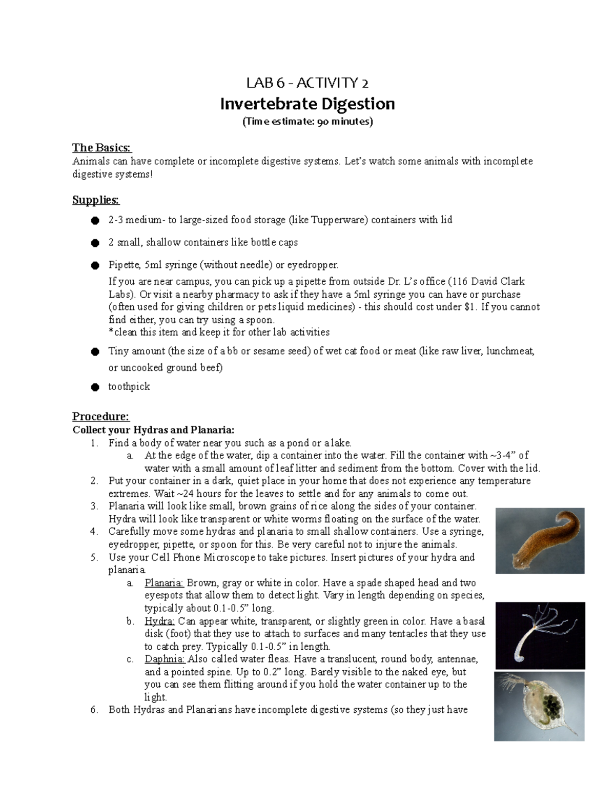 Copy of Lab6activity 2 hydra Planaria Digestion - LAB 6 - ACTIVITY 2 ...