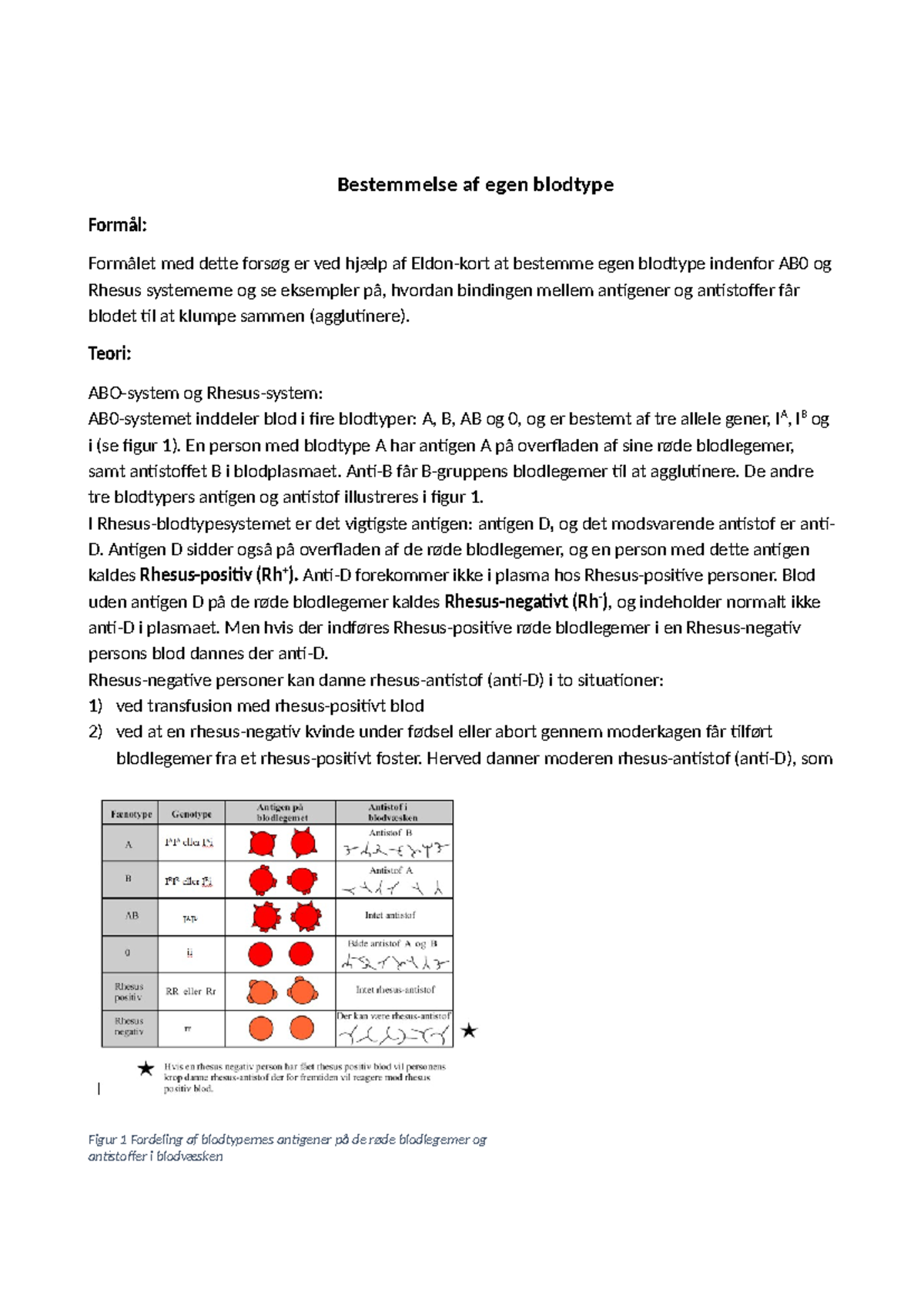 Rapport-bestemmelse af egen blodtype - Bestemmelse af egen blodtype ...