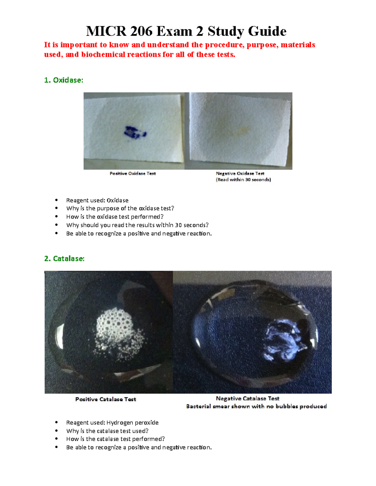 Lab Exam 2 Study Guide - Review for the second lab exam. - MICR 206 ...