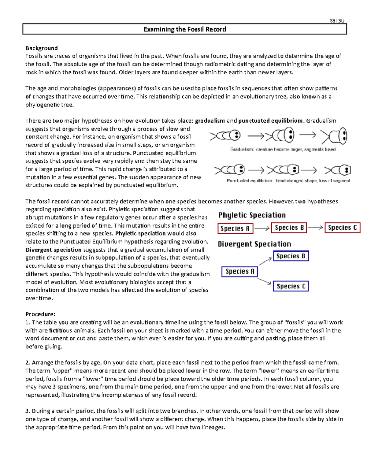 09- Examining the Fossil Record Assignment - Examining the Fossil ...