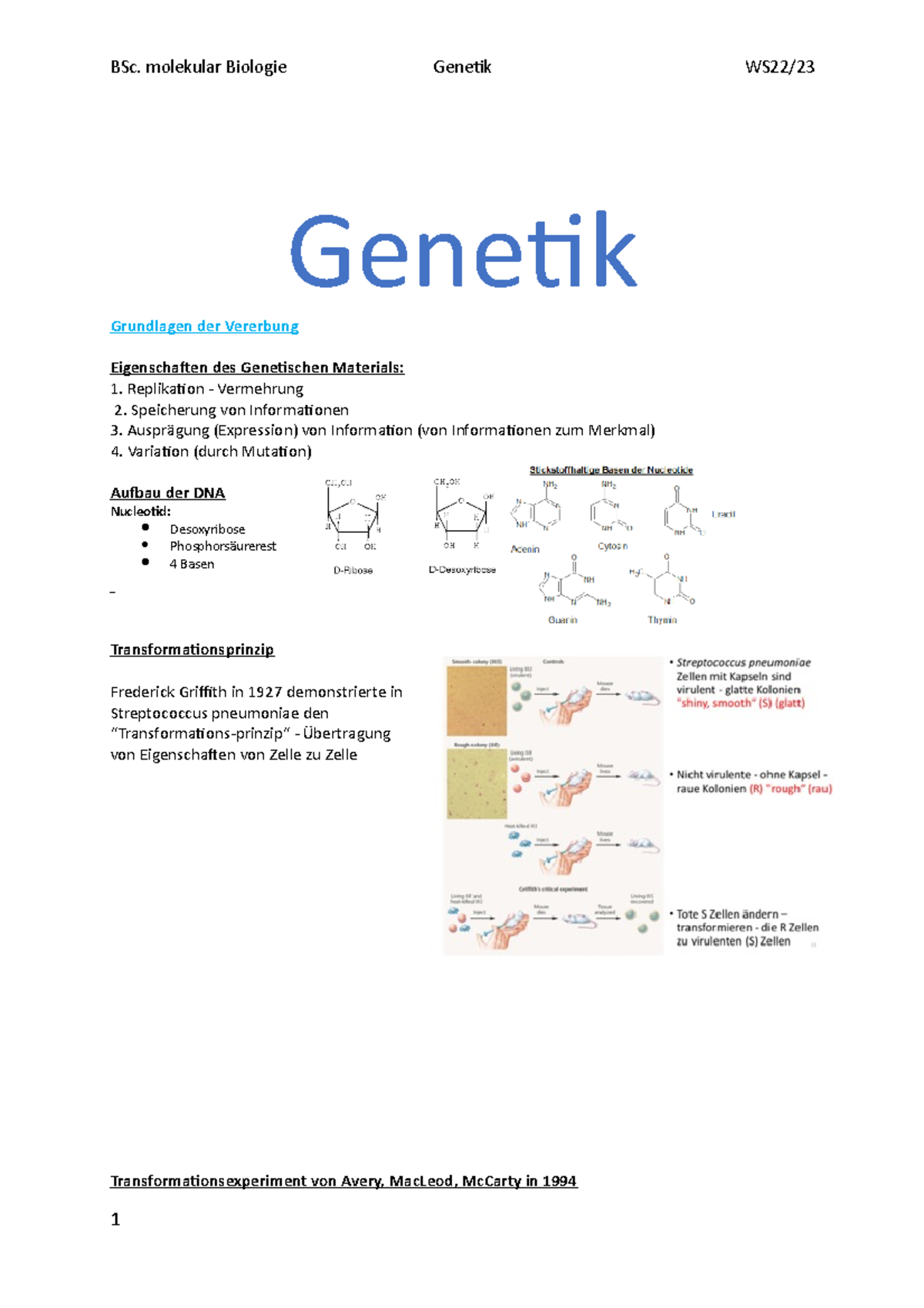 Genetik WS22:23 - Genetik Grundlagen der Vererbung Eigenschaften des ...