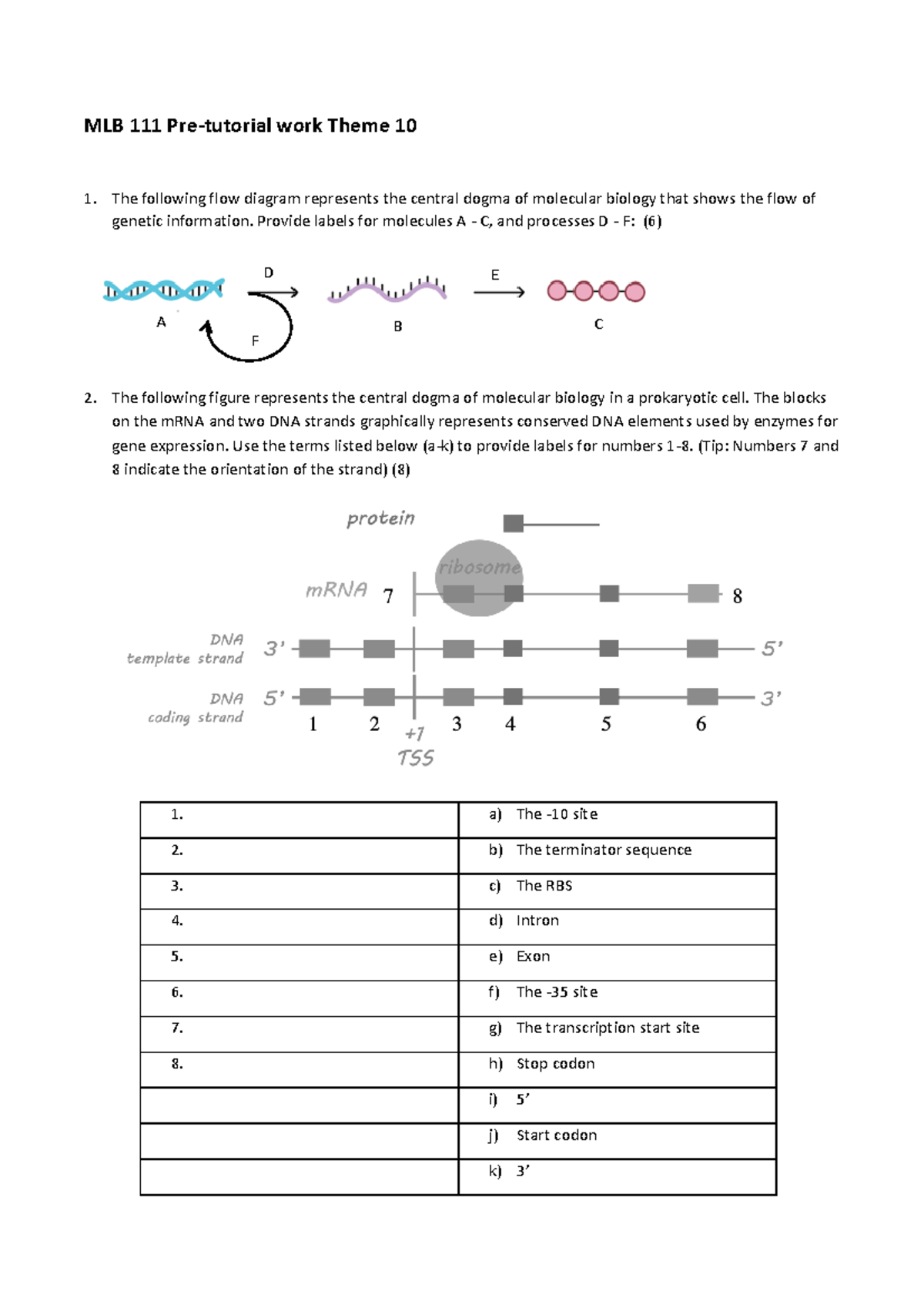 MLB 111 Pre-tutorial work SU10 Final - MLB 111 Pre-tutorial work Theme ...