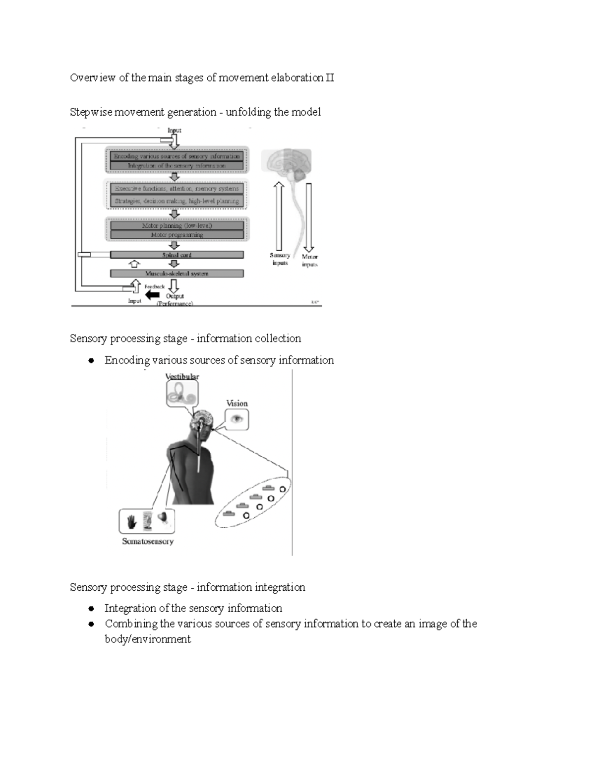 Overview of the main stages of movement elaboration II - Why? How MT ...