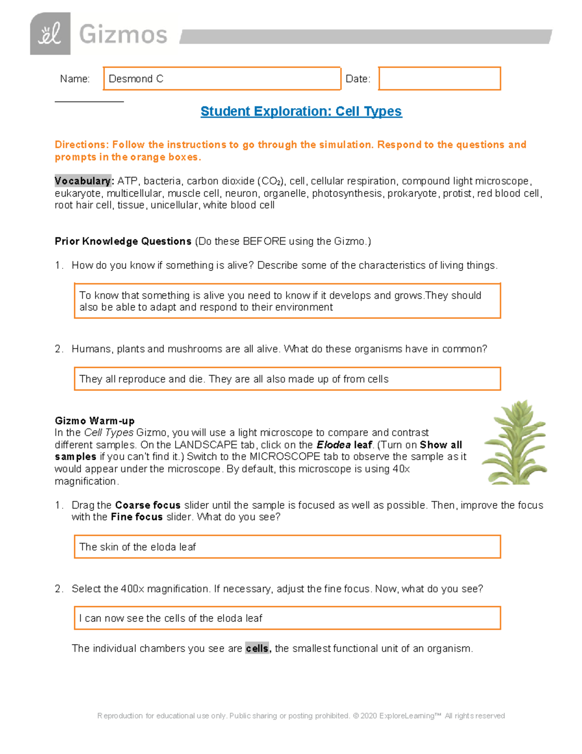 Desmond Cartwright - 16.2 Gizmo Microscope Lab Cell Types - Name ...