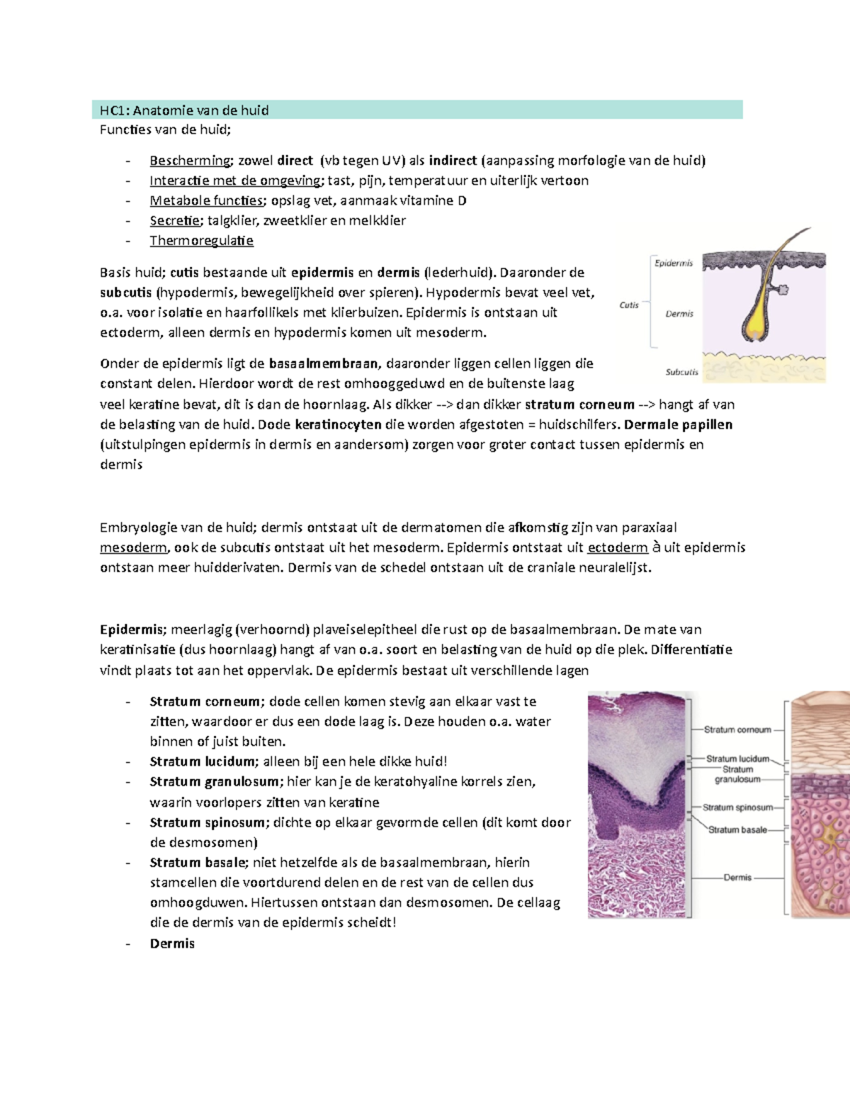 HH HC's samenvatting - HC1: Anatomie van de huid Functies van de huid ...